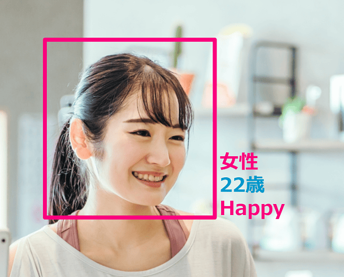 『EMOTICS』｜AIで来客数や属性を可視化するマーケティングツール